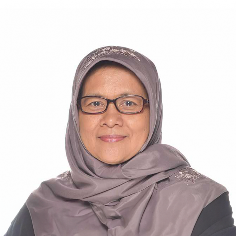 Profil Pengabdi – Prof. Dr. Dra. Kasiyah, M.Sc. – DPIS UI