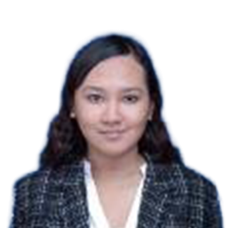 Profil Pengabdi – Ikhaputri Widiantini – DPIS UI