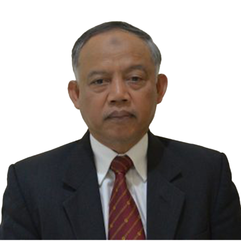 Profil Pengabdi – Muhammad Luthfi – DPIS UI