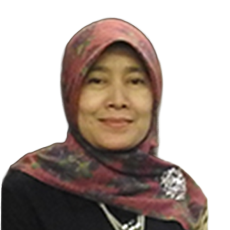 Profil Pengabdi – Haruki Agustina – DPIS UI